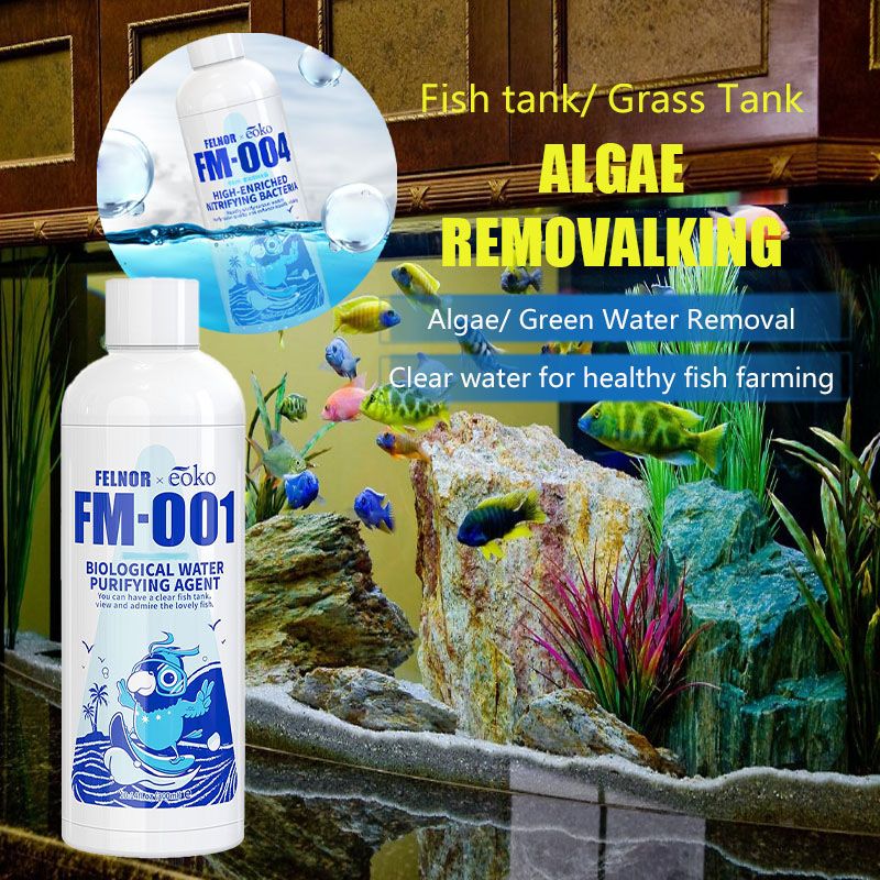 Fish Tank Water Purifier Algae Remover – detroitrain